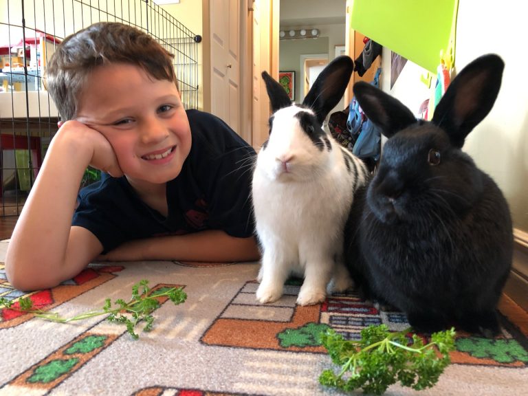 Vancouver Rabbit Rescue and Advocacy